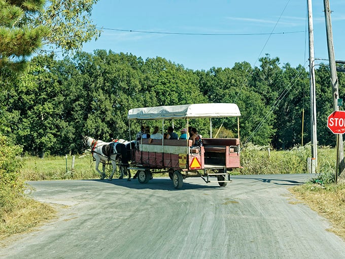 All aboard the original "slow travel" experience! Horse-drawn wagon tours offer the perfect pace to absorb Ethridge's pastoral charm.