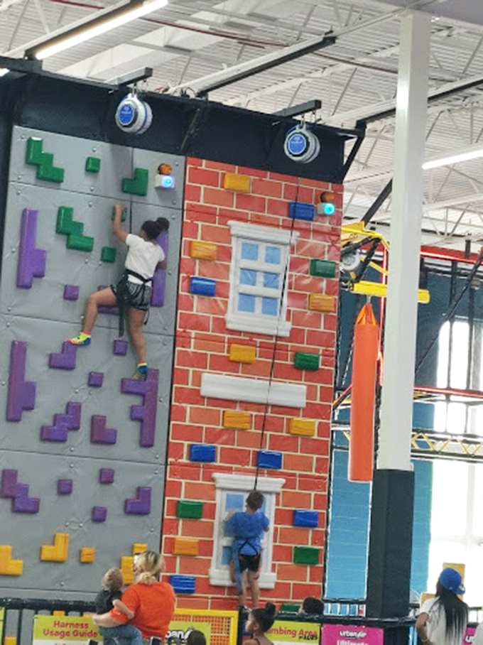 
The multi-level ropes course challenges balance and bravery alike. Notice how the kids navigate with ease while adults white-knuckle every step. 