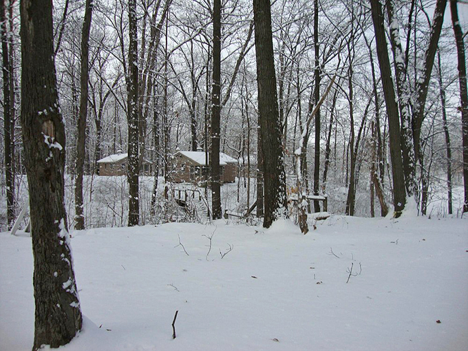 Winter's silent transformation turns Shakamak into a snow globe come to life. Even the cabins look cozier when tucked under nature's white comforter.