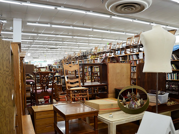 Books to the left, chairs overhead, and somewhere in the middle, the perfect piece of furniture you didn't know you needed until this very moment.