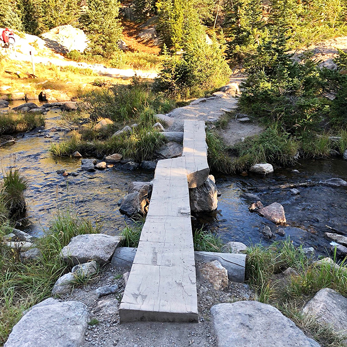 This humble wooden bridge isn't just crossing water&mdash;it's crossing into your next social media highlight reel. Engineering simplicity meets Instagram gold.