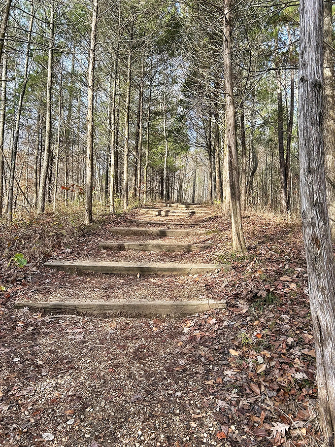 These humble wooden steps are literally the stairway to heaven for nature lovers&mdash;each riser bringing you closer to panoramic bliss.