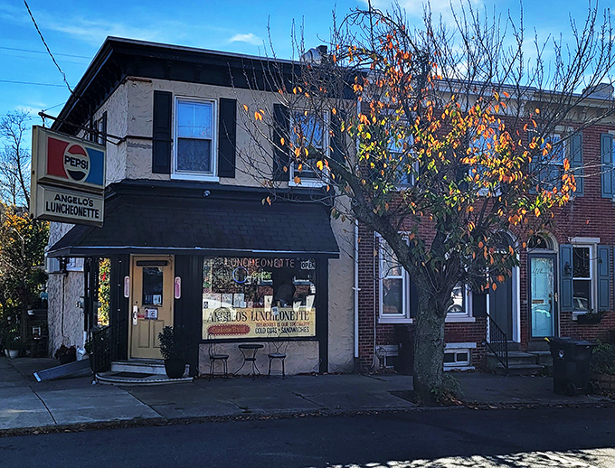 Angelo's Luncheonette's vintage corner spot has witnessed decades of neighborhood gossip and breakfast satisfaction.
