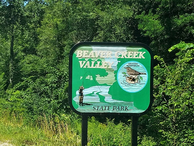 Beaver Creek's emerald waters flow clear as truth – a trout stream so pristine you'll want to bottle it.