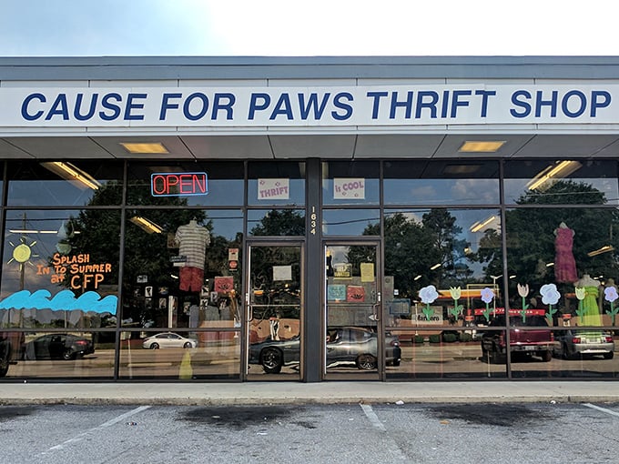 Cause for Paws' storefront promises a shopping adventure where your dollars stretch further while helping furry friends.