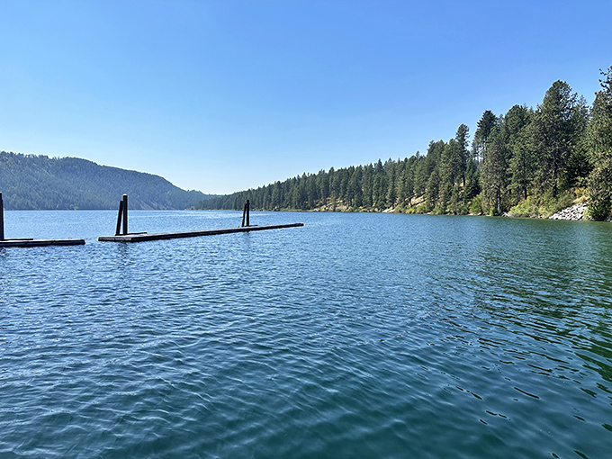 Lake Pend Oreille stretches to the horizon at Farragut State Park, proving that Idaho's beaches can rival any coastline.