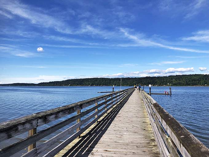 This timeless pier stretches toward adventure, inviting anglers and dreamers to spend a day suspended between sky and sea.