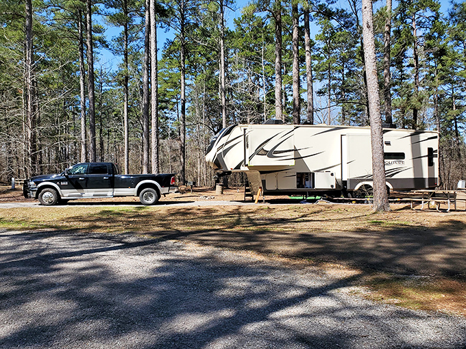 Legion State Park's wooden bridge crosses more than just water &ndash; it's a pathway to peace and quiet.