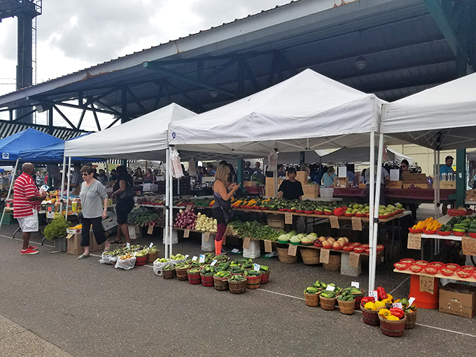 A rainbow of produce creates an edible color palette. Nature's art gallery is also deliciously practical!