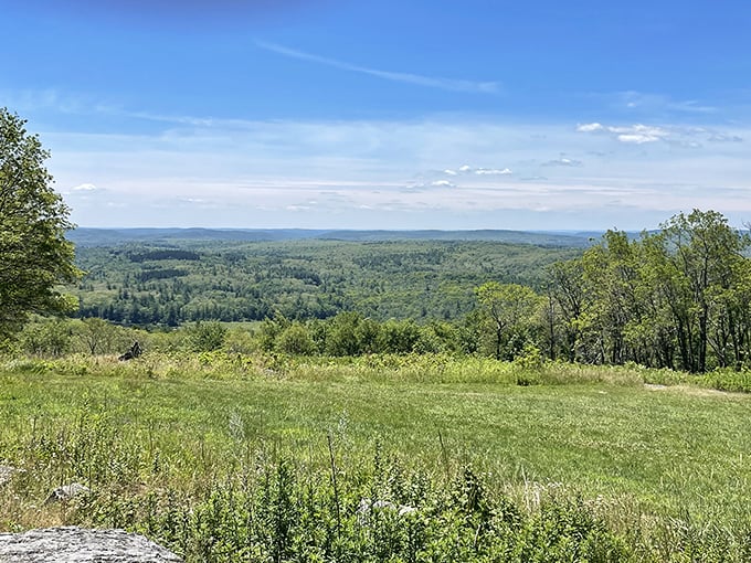 Mohawk Mountain's breathtaking vista stretches to the horizon&mdash;nature's version of a penthouse view without the mortgage.