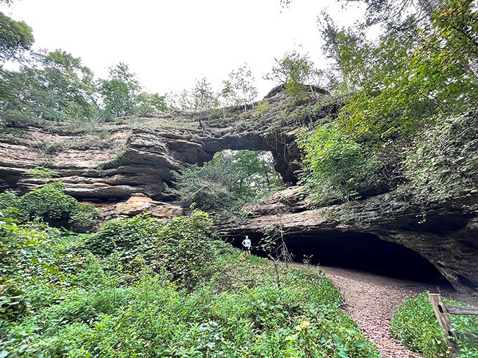 Newport State Park's beach combines the serenity of a private shoreline with the drama of Lake Michigan's waves. 