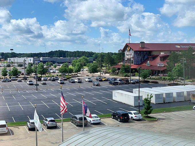 Tree-lined streets create natural tunnels of shade, nature's answer to air conditioning in the Mississippi heat. 