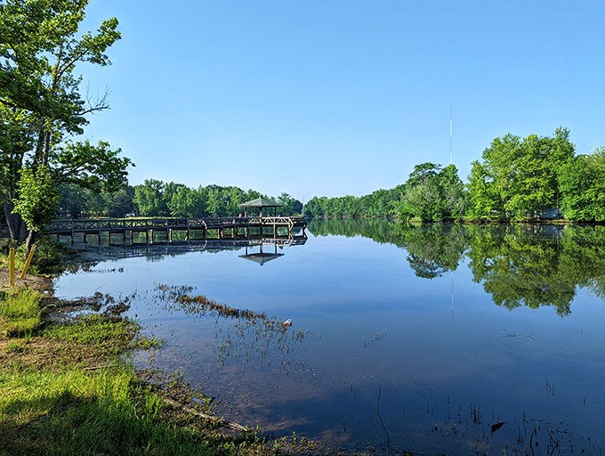 Sherwood's suburban streets offer proximity to Little Rock's amenities without the capital city's capital requirements.
