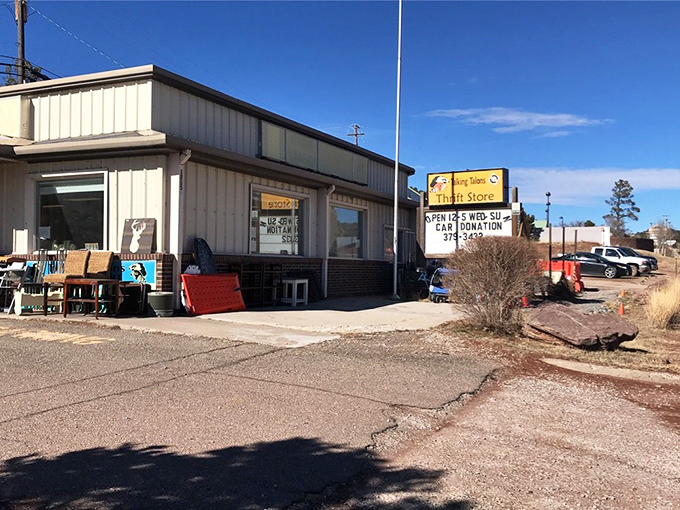 Talking Talons Thrift Store looks like it belongs in a small-town movie set, complete with outdoor furniture teasing what's inside.