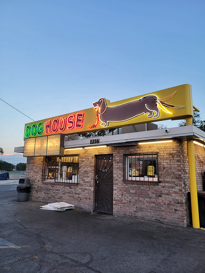 The Dog House's neon dachshund might be the most honest sign in dining - it promises no frills, just delicious satisfaction.