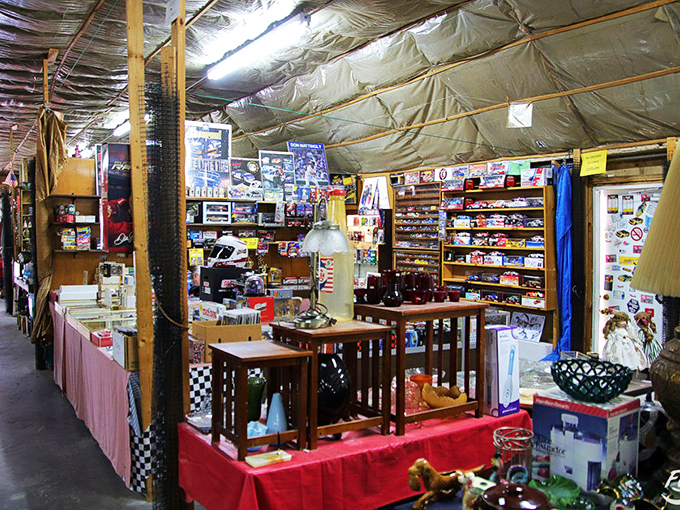 Nostalgia lives in this collector's dream space, where childhood memories come with price tags.