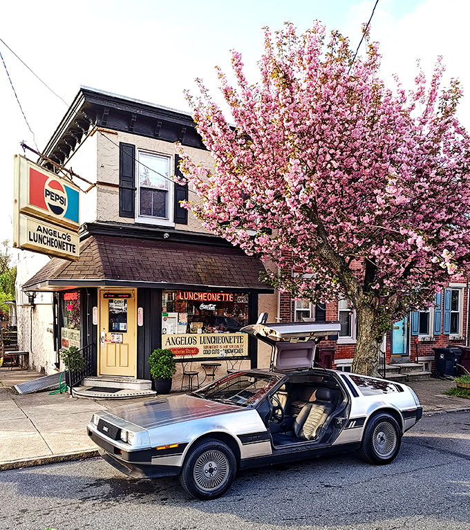 Spring blossoms frame Angelo's perfectly &ndash; a diner so charming even DeLoreans park outside for a taste of timeless cooking.