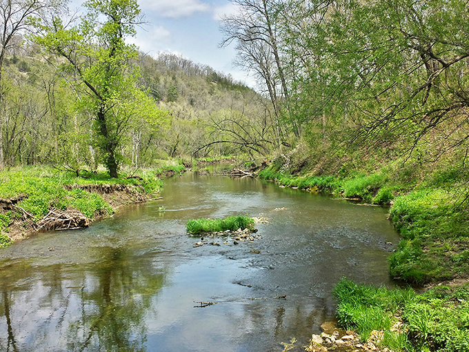 Nature's perfect creek meanders through the driftless area, a reminder that sometimes the best landscapes skip the glaciers.