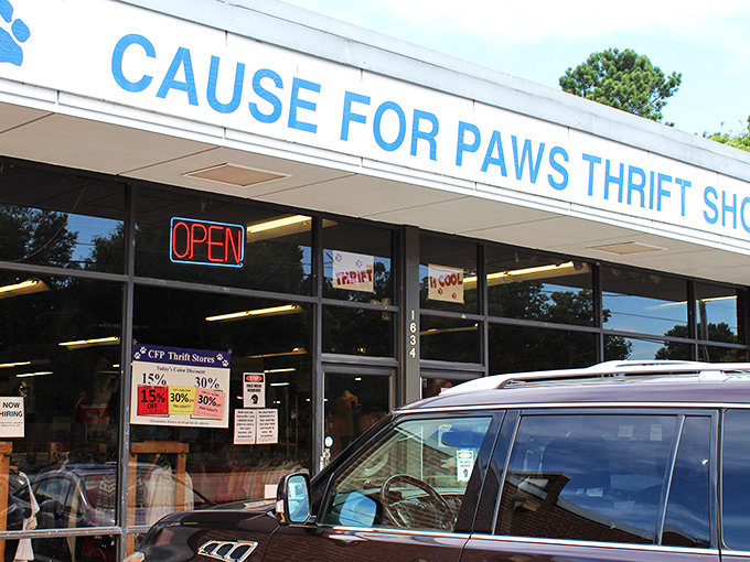 Window displays bursting with colorful summer finds hint at the treasures waiting inside this animal-loving thrift shop.