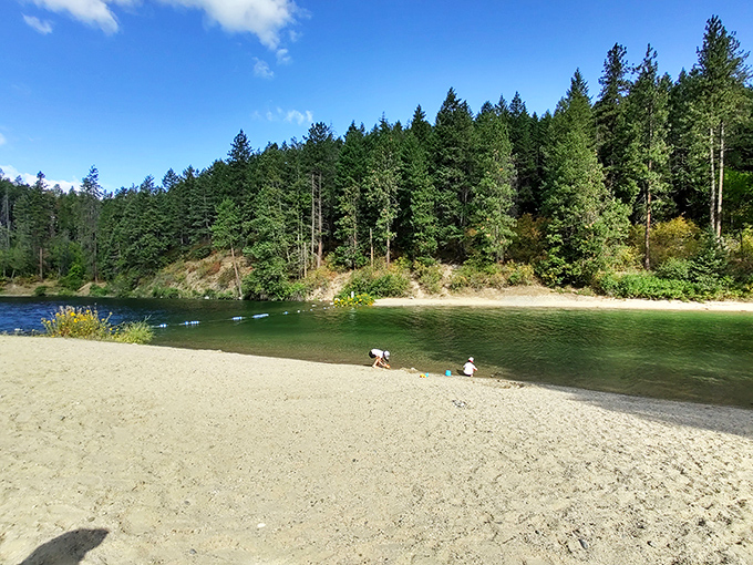 Sandy shores and crystal waters at Farragut State Park&mdash;Idaho's answer to a beach vacation without the sharks or salt.