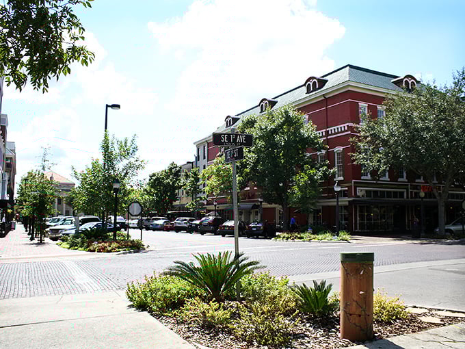 These tree-lined streets in downtown Gainesville offer shade for your wallet as well as your afternoon strolls.