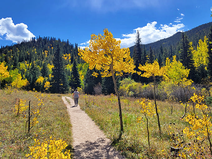 Wilderness as far as the eye can see at Golden Gate Canyon. That tiny feeling of insignificance? That's actually good for the soul.