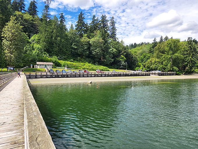 Ancient forest meets shoreline in this compact wonderland &ndash; like Mother Nature decided to create a sample platter of Washington's best features.
