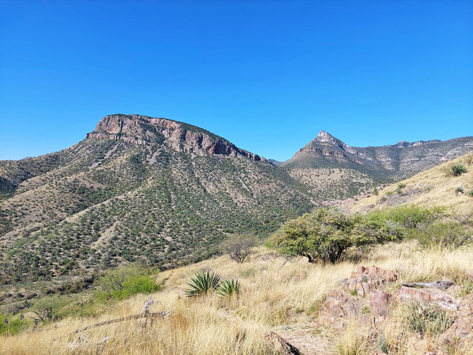 Rolling hills and distant mountains frame the approach to Kartchner Caverns&mdash;the appetizer before the main course.