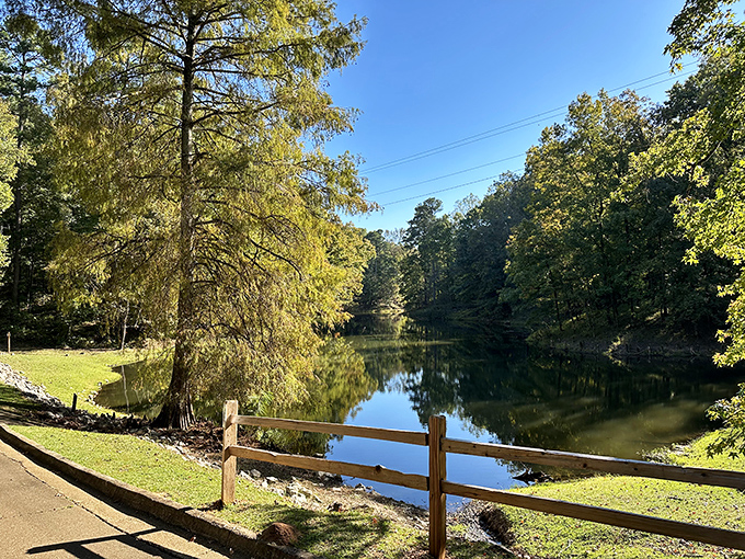 Legion's glassy lake surface captures clouds and trees in perfect symmetry. Nature showing off again! 