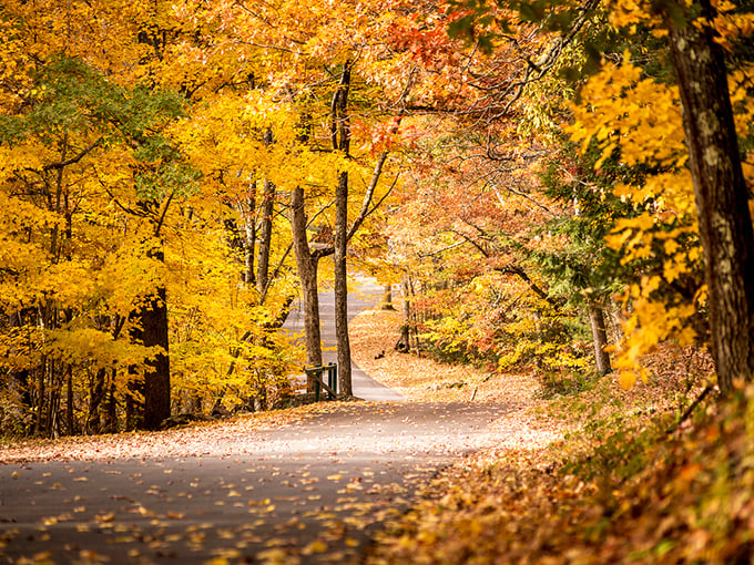 Fall paints Mohawk Mountain with its finest brushstrokes&mdash;a masterpiece you can walk through rather than just admire.