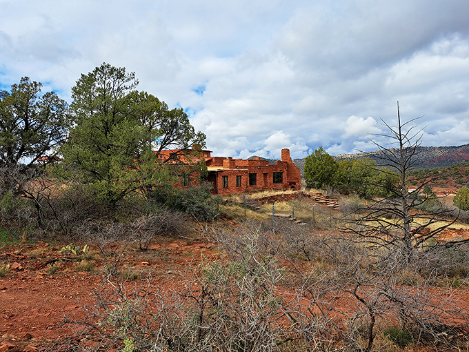 Wildflowers carpet Sedona's red earth in a display so perfect it looks like someone Photoshopped reality.Add to Conversation