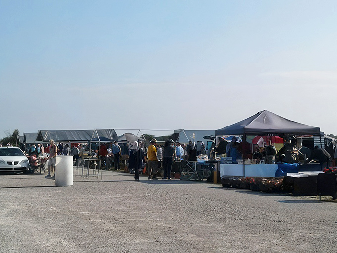 The original social network. Shelby County Flea Market brings strangers together through the universal language of "Look what I found!"