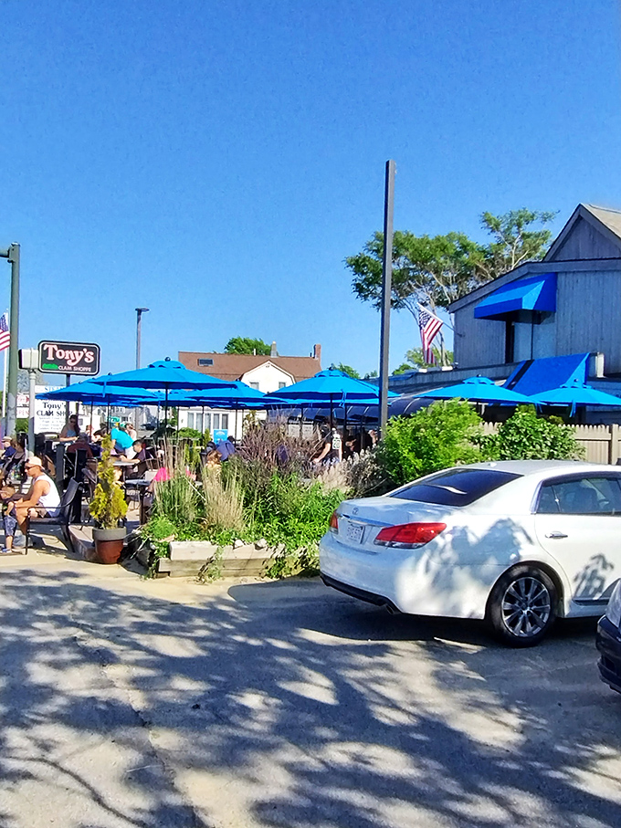 With the American flag waving proudly above, Tony's prepares the kind of seafood that makes patriots proud to be near the coast.