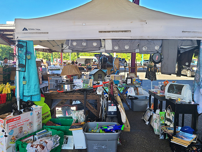 Every table at Vineland is like opening a surprise package &ndash; you never know what treasure might be hiding under that ordinary exterior.