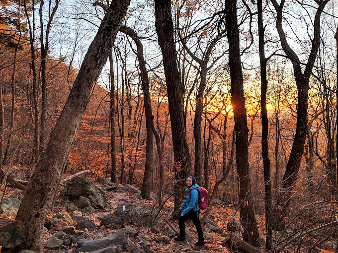 Wawayanda's trails invite you to wander through autumn's fiery palette. That hiker knows the best views always require a bit of climbing!