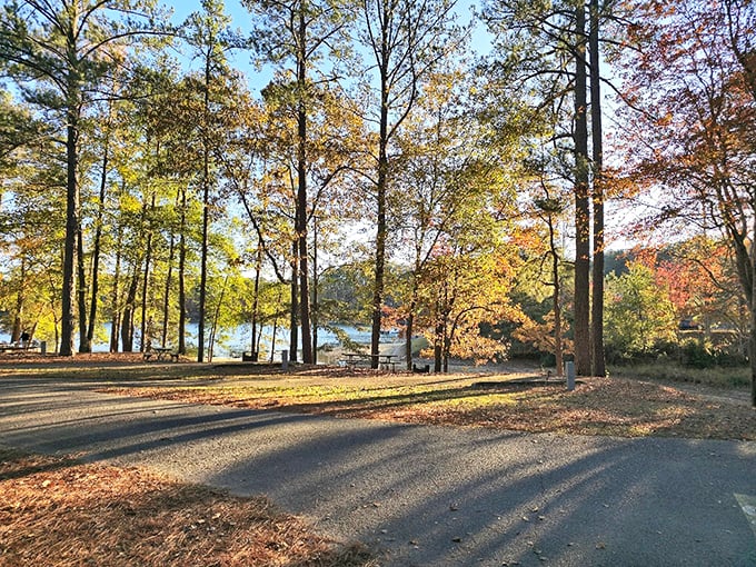 Wind Creek State Park: Autumn paints these shorelines in colors so vibrant, you'll wonder if Mother Nature has been taking art classes.