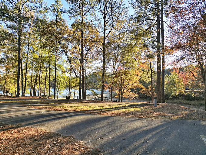 Pine trees stand sentinel along Wind Creek's shores, nature's version of a five-star resort with unlimited check-out times.