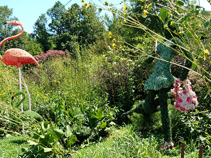 Local creativity sprouts alongside mountain trails, where whimsical garden sculptures prove Appalachian imagination runs as wild as the surrounding wilderness.