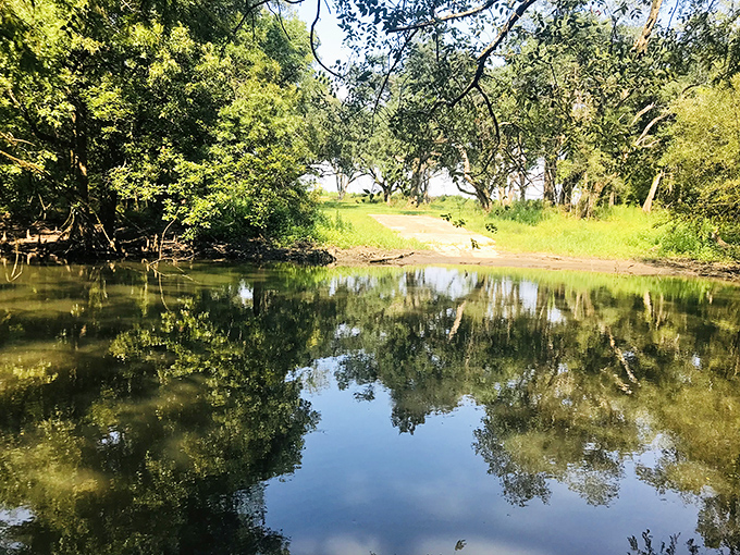 Where land meets water, adventurers can pause and contemplate life's big questions. Like, "Was that splash a fish or something more... ethereal?"