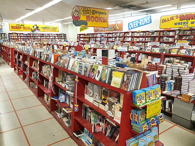 Bibliophiles, rejoice! Ollie's book section is where bestsellers come for their second act, with prices that make building a home library actually affordable.