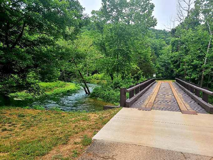 This rustic wooden bridge crosses gentle waters with such perfect composition, it's as if Mother Nature studied landscape architecture.