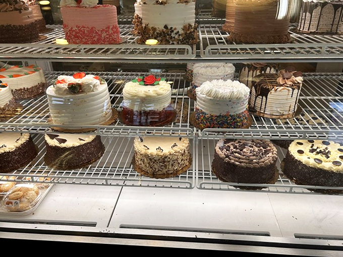 Layer cakes lined up like contestants in a delicious beauty pageant, each one vying for the title of "Most Likely to Disappear at a Family Gathering."