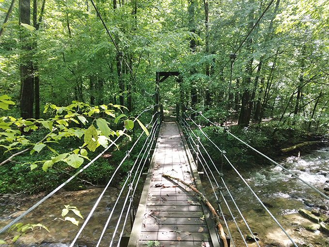 This unassuming footbridge offers passage over rushing waters&mdash;think of it as nature's version of the yellow brick road.