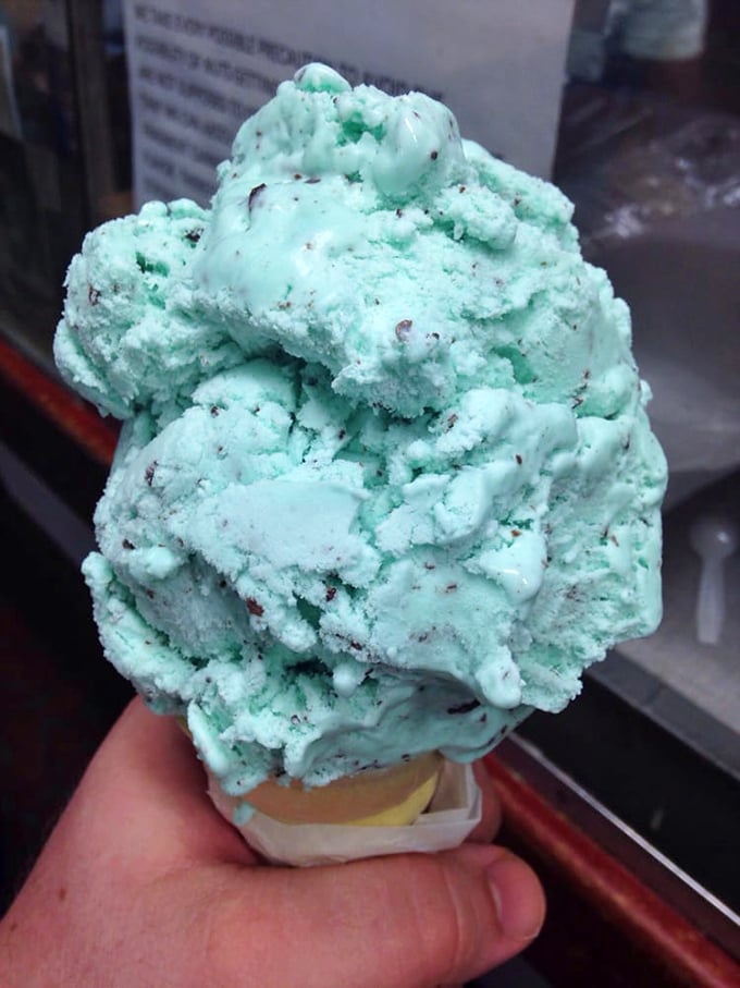 This mint chocolate chip scoop isn't just ice cream; it's a cold, creamy escape from reality that turns adults back into kids.