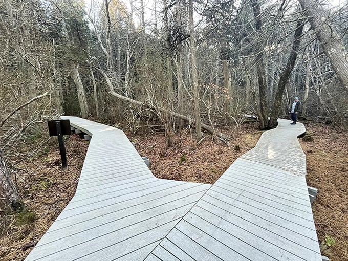 Where the boardwalk splits, both paths promise adventure&mdash;it's like choosing between chocolate and vanilla when both are homemade.
