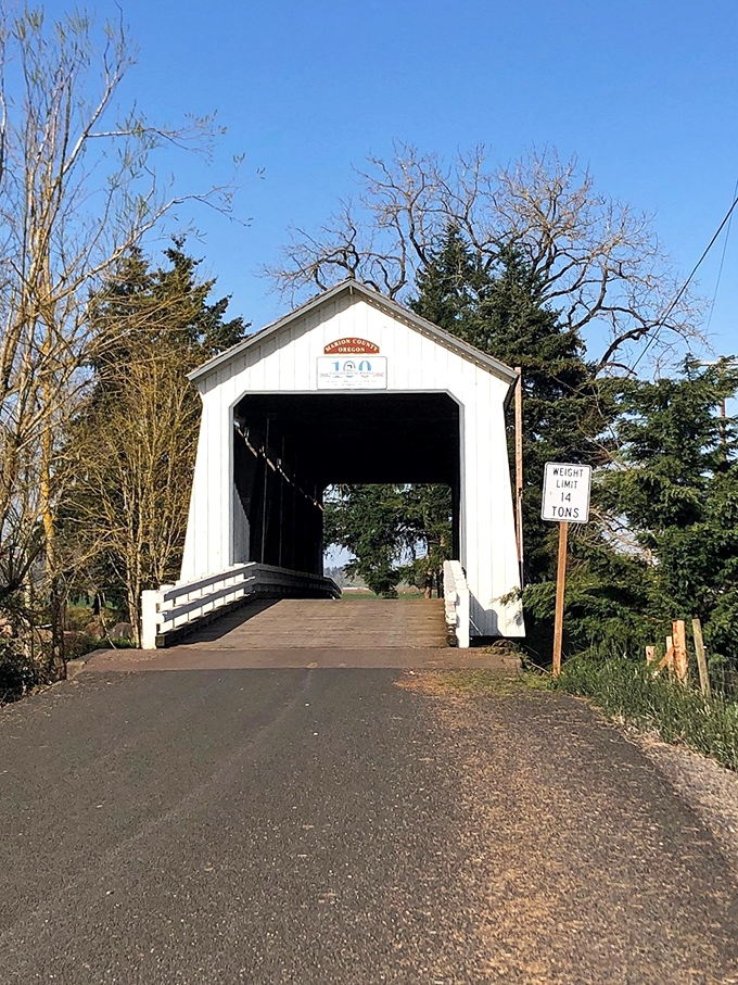 This colorful mountain town streetscape might not be Silverton, but it captures the same small-town charm that makes these hidden gems worth discovering. 