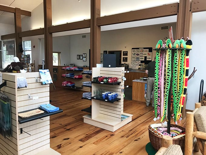 The visitor center gift shop offers memories you can take home, though sadly, they haven't figured out how to bottle that fresh cypress scent yet.