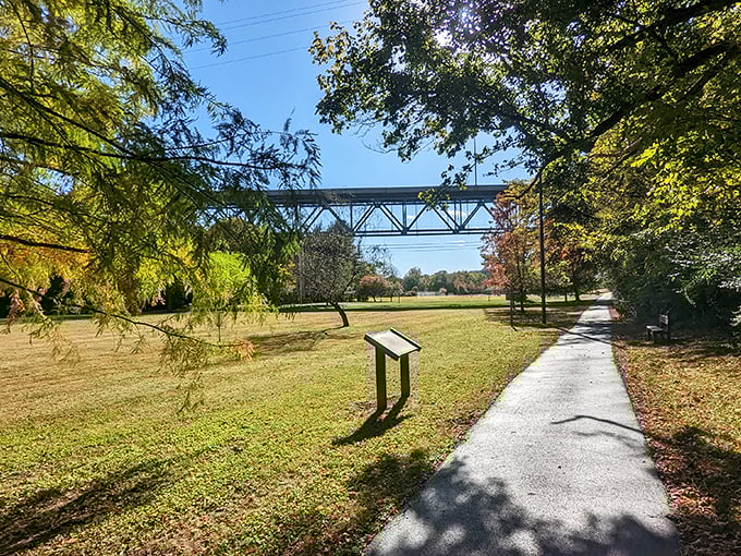 Green River Park's walking path invites you to slow down and notice things &ndash; like how Kentucky sunlight filters through trees in a way that feels like a blessing.