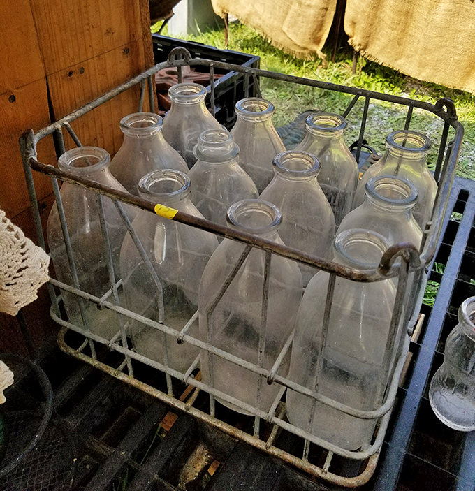 These milk bottles have graduated from delivering dairy to delivering nostalgia. Remember when the cream would rise to the top?