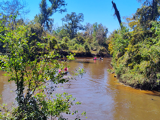 The coffee-colored waters of the Tickfaw offer kayakers a Louisiana latte experience&mdash;rich, smooth, and guaranteed to wake up your senses.